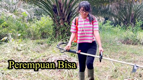 Kebun Sawit Bersih Kebun Sawit Terbaik Youtube