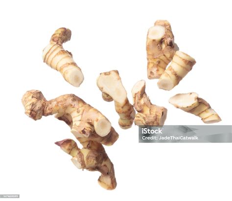 갈랑갈은 공중에서 날고 신선한 야채 향신료 양강은 떨어집니다 유기농 신선한 허브 양강 뿌리 머리 컷 찹 슬라이스 질감을 닫습니다 흰색 배경 격리 동결 모션 고속 셔터