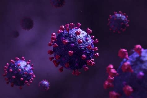 Nipah Virus Comeback Kerala On Alert After Two Unnatural Deaths Know The Details