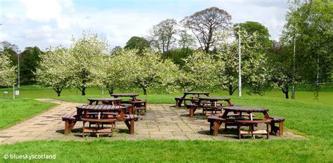 Alex And Bob`s Blue Sky Scotland May In The Garscube Estate 2023