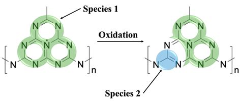 Long Term Characterization Of Oxidation Processes In Graphitic Carbon Nitride Photocatalyst