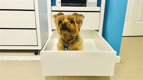 How To Assemble Ikea Komplement Drawers Video Tutorial Just Might Diy