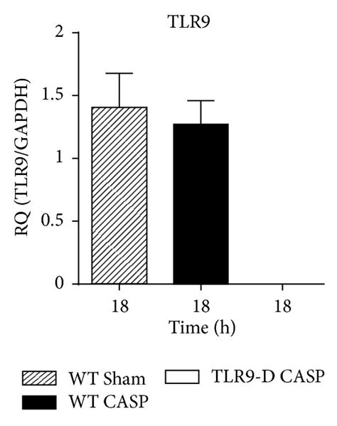 Comparison Of Inflammatory Parameters In Wt And Tlr9 D Mice Ah