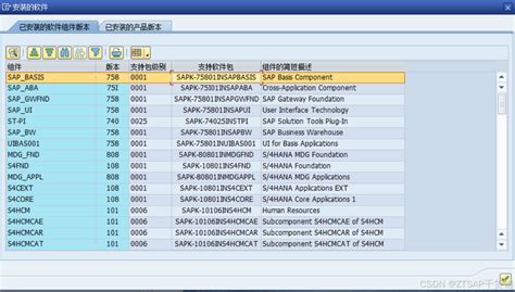 Sap揭秘者 怎么查看sap 版本及s4 Hana的版本sap版本 Csdn博客