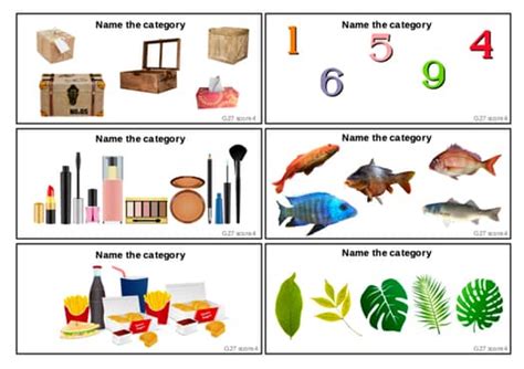 Sorting Objects Into Categories Aba Ablls R B19 C39 G17 G25 G27 Sort Select Name