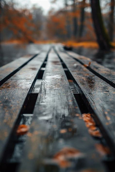 Download Ai Generated Bench Park Royalty Free Stock Illustration