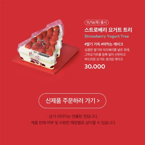 잡담 투썸 케이크 사전예약 완🎄 Daum 카페