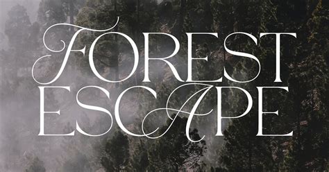 forest escape serif decorative ft scriptfont and font envato