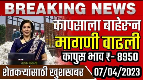 खुशखबर बाहेरून कापसाला मागणी कापूस भावात सुधारणा Kapus Bhav Today