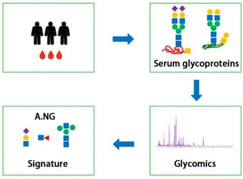 血清糖分析对肺癌的诊断潜力：糖模式研究journal Of Proteome Research X Mol