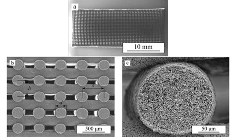 as received β tcp scaffolds a printing plane optical image b c