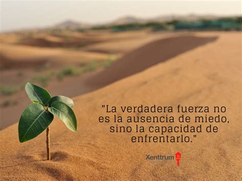 Seleccion De Las Mejores Frases De Motivacion Con Imagenes Frases De