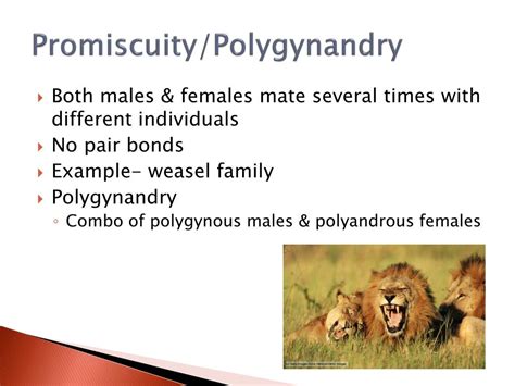 Ppt Mating Patterns Powerpoint Presentation Free Download Id2105215