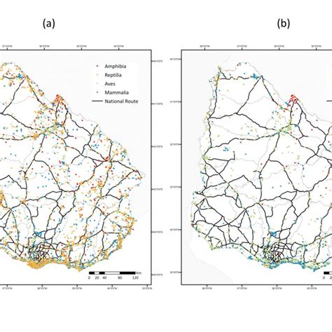 Distribution Of The A Total Number Of Occurrence Records N 69380 Download Scientific