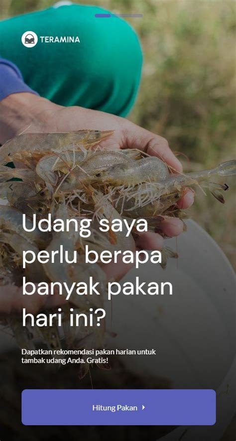 Lana Saiful Aqil On Linkedin Frontend Vue Shrimp