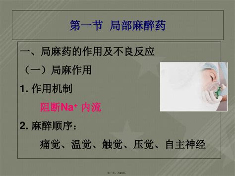 麻醉药及应用 word文档免费下载 亿佰文档网