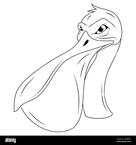 Pelican Vector Illustration Of A Sketch Angry Water Bird Large Throat