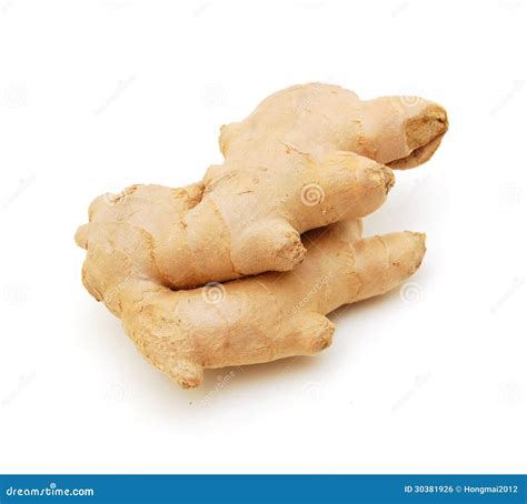 Gingers Stock Foto Image Of Indisch Wortel Geur Vers 30381926
