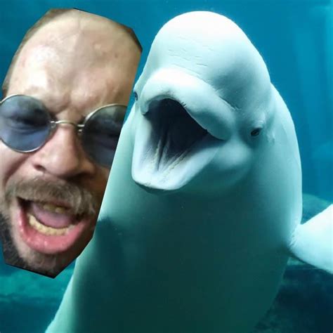 Bottom Pic Was Taken Last Month Dood R Kingcobrajfs