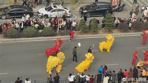 舞龙舞狮汉服秀