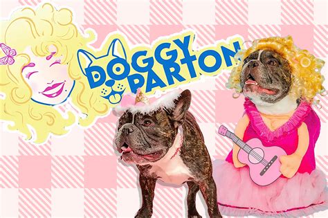 Shop Doggy Parton Dolly Partons New Line Of Pet Accessories