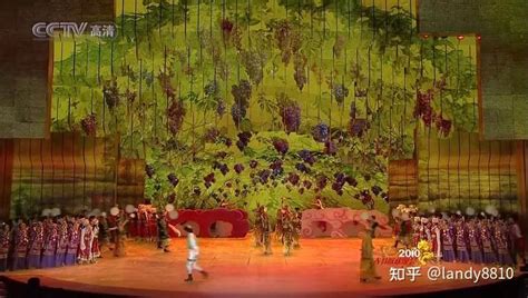 《2010年中央电视台春节联欢晚会》剧照 知乎
