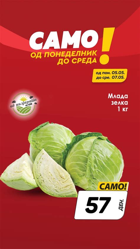 Kam Market Makedonija 🔴 НОВ КАМ ЛЕТОК 📣 Дали сте подготвени за празничните денови 🍷 ️🌹 Во