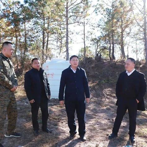 环江红到姜州镇密竹林林区调研督导森林草原防灭火“三化”建设工作防火灭火建设