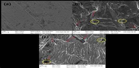 Fe Sem Micrographs Of Copper Sample Surfaces A Freshly Polished