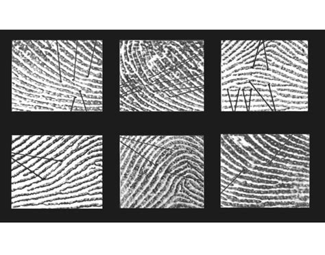 Fingerprint Characteristics Quiz