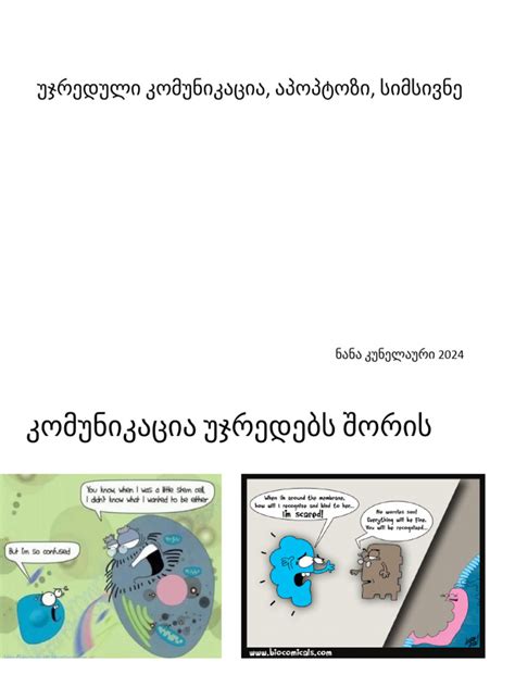 ლექცია 6 Pdf