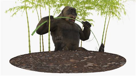 Big Ape Gigantopithecus Eats Bamboo Plants 3d 3d Molier International