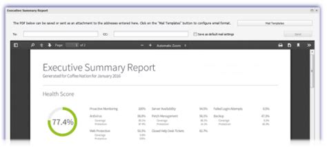 Executive Summary Report