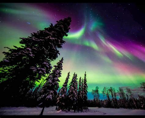 Northern Lights September 2025 Alaska Isla Hanan