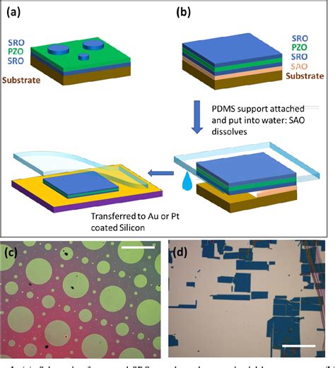 Figure 1 From Switching Dynamics And Improved Efficiency Of Free