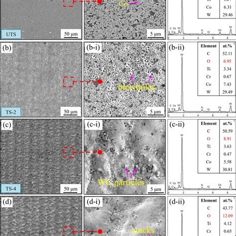 Sem Micrographs And Eds Measurements Of Wc Tic Co Surfaces Treated With