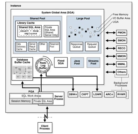 Oracle数据库关键后台进程运行机制解析 墨天轮