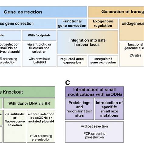 Comparison Of Designer Nucleases Regarding Recognition And Cleavage Download Scientific Diagram