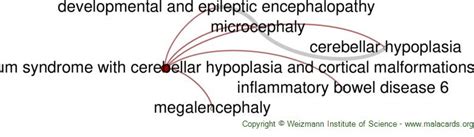 Mega Corpus Callosum Syndrome With Cerebellar Hypoplasia And Cortical