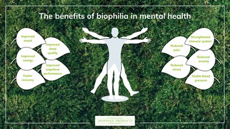 Biophilia And Mental Health Exploring Natures Role In Wellbeing
