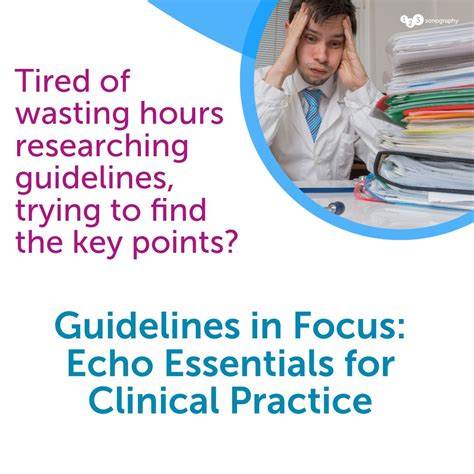 Echocourses Echoguidelines Guidelinesinecho Echocardiography