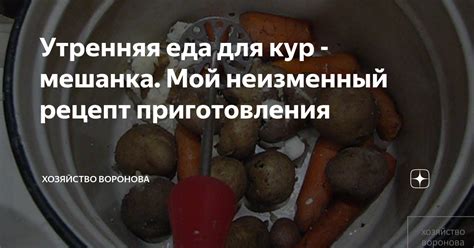 Утренняя еда для кур - мешанка. Мой неизменный рецепт приготовления ...