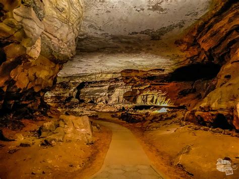 Planning A Visit To Mammoth Cave National Park