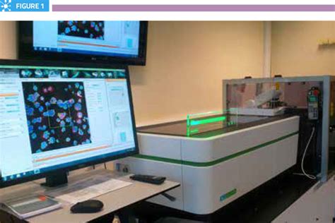 High Content Imaging Challenges Of The 3d World