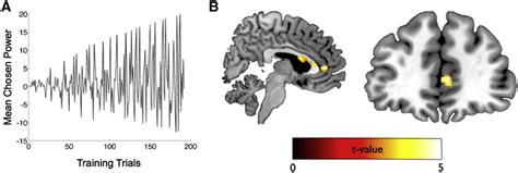 Learn Phase Correlation Between Neural Activity In The Mpfc And Smc
