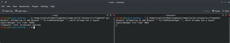 `flameshot Gui` Performance Issues · Issue 3419 · Flameshot Org