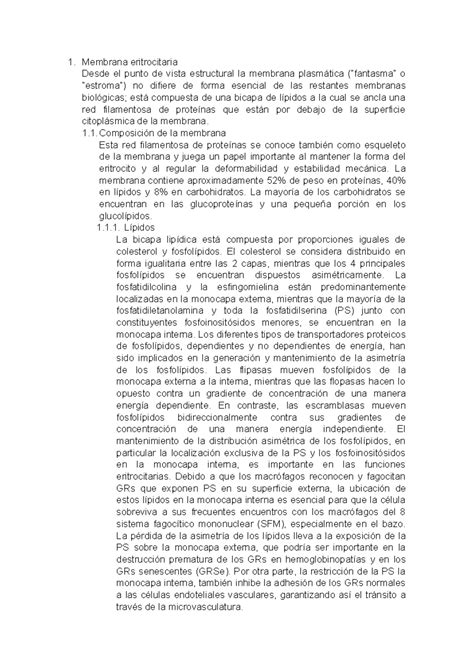2 Membrana Eritrocitaria Membrana Eritrocitaria Desde El Punto De
