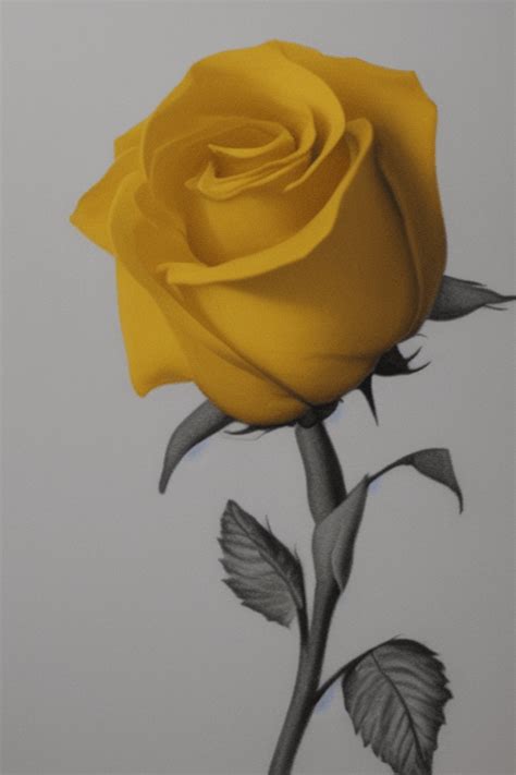 Schizzi Di Rose Con La Matita