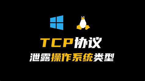 给你一个IP如何知道它是Linux还是Windows YouTube