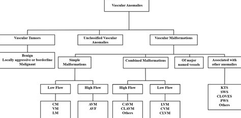 The International Society For The Study Of Vascular Anomalies